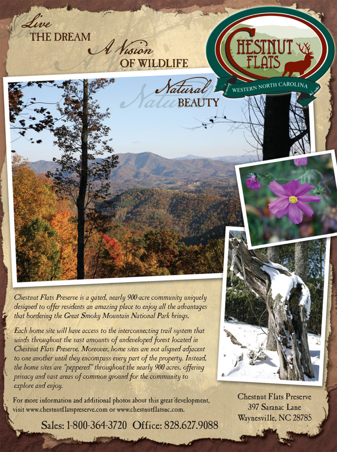 Chestnut Flats - Bishop Design